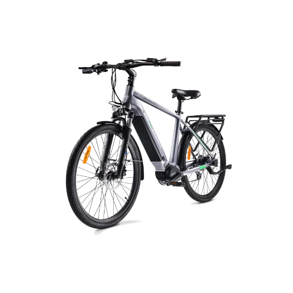 MS ENERGY eBike c101